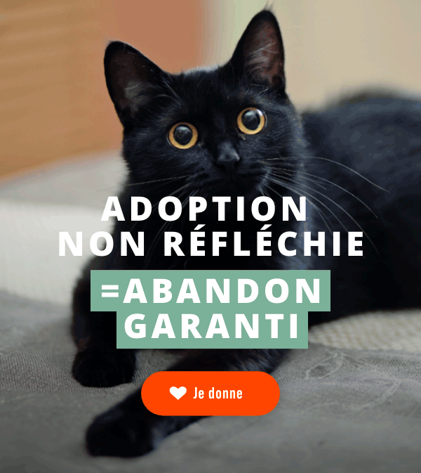 l' humour rime avec toujours